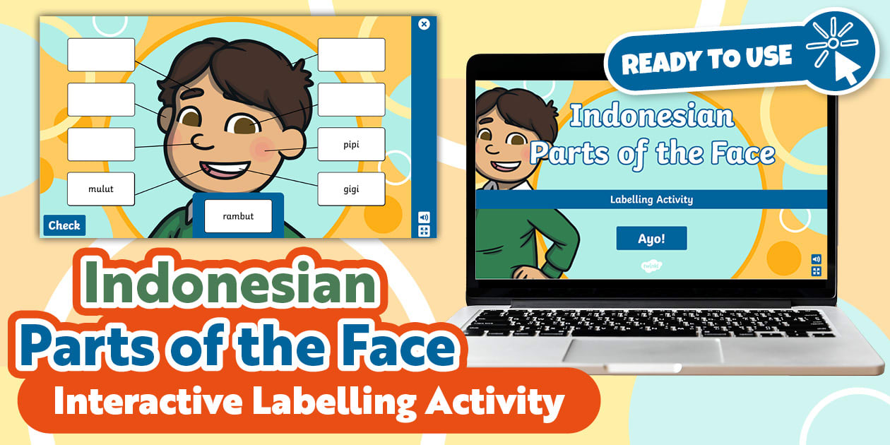 Indonesian Face Parts Interactive Labelling