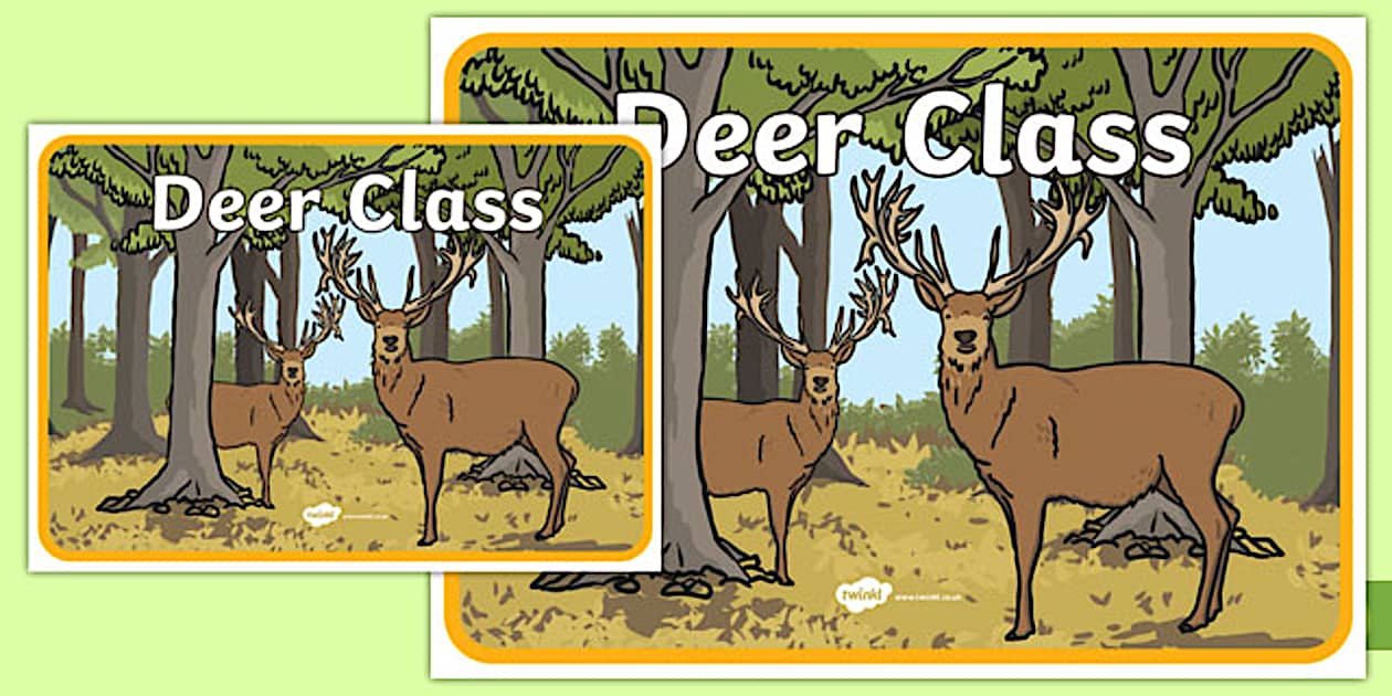 Deer Class Display Poster (teacher made) - Twinkl