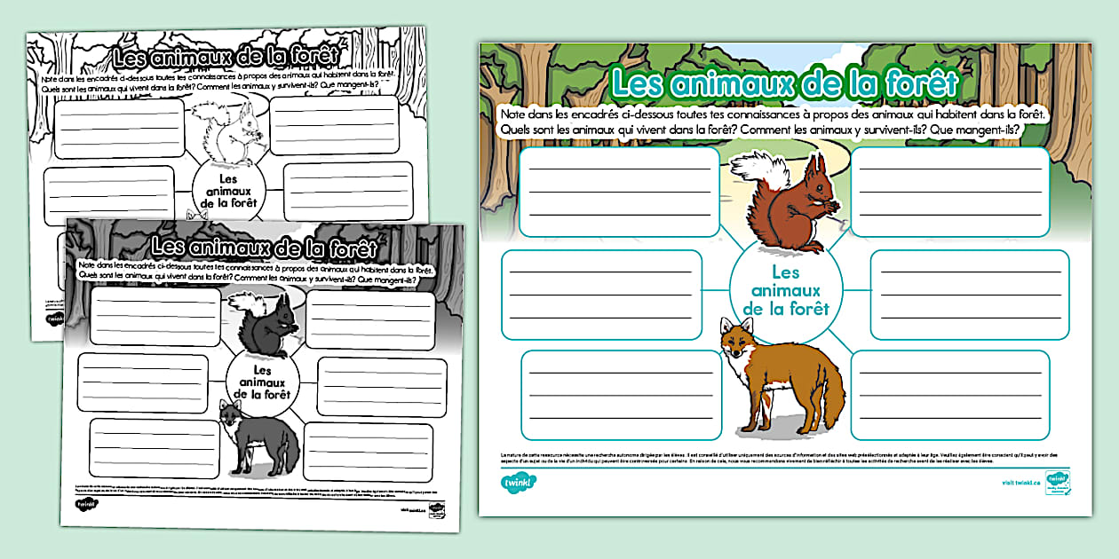 Carte Mentale : Les animaux de la forêt