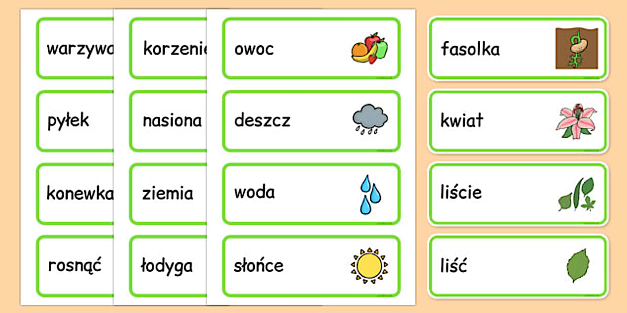 Karty ze słownictwem Wzrost po polsku - przyroda - Twinkl