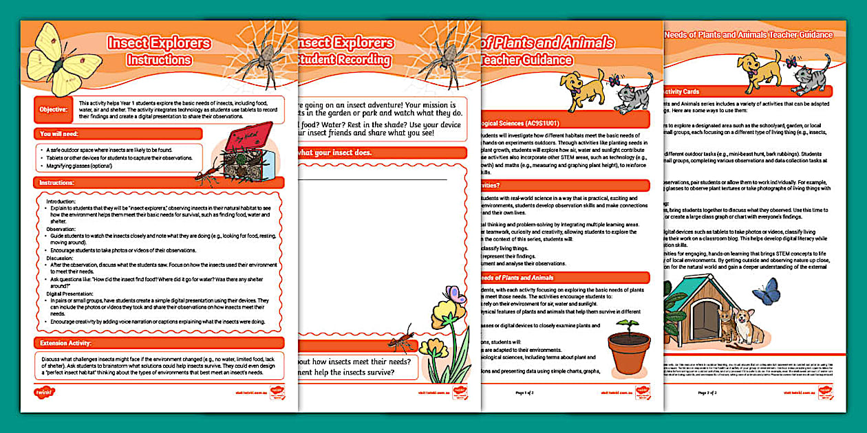 STEM Outdoors: Insect Explorers (teacher made) - Twinkl