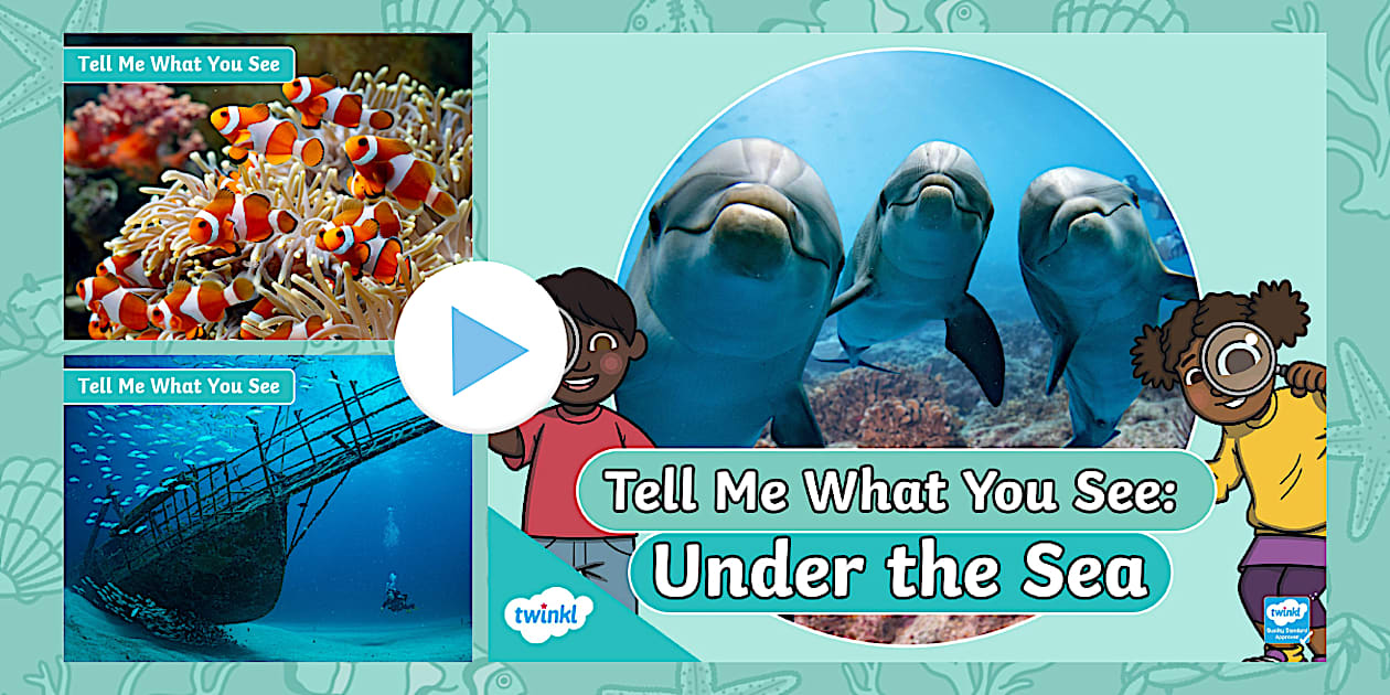 Tell Me What You See: Under the Sea PowerPoint | Twinkl