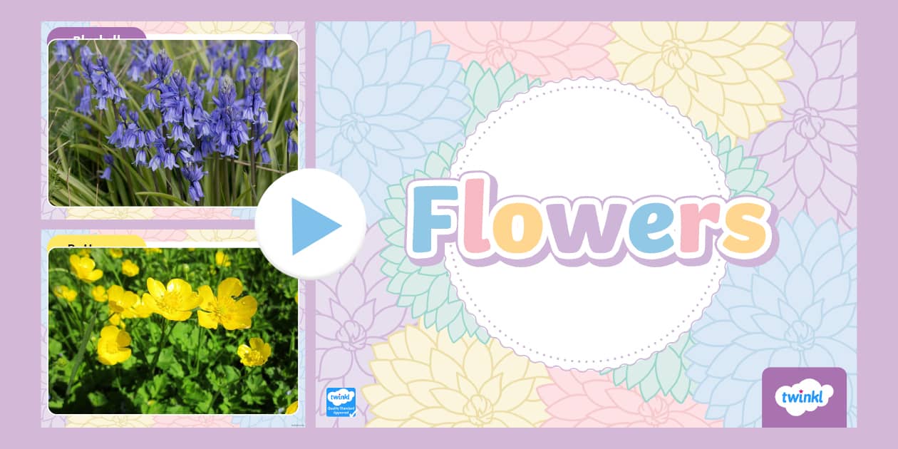 Flowers Photo PowerPoint - KS1 (Teacher-Made) - Twinkl