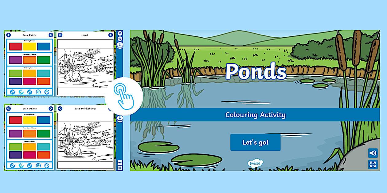 Pond Interactive Colouring (teacher made) - Twinkl