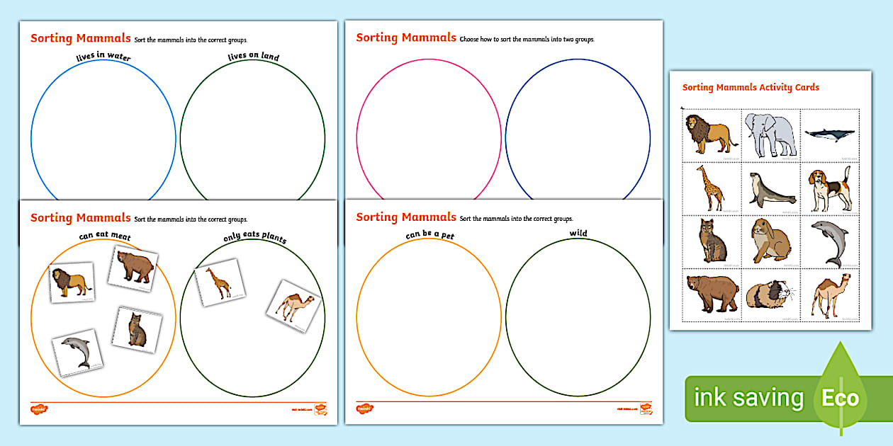 Mammals Sorting Activity (teacher made) - Twinkl