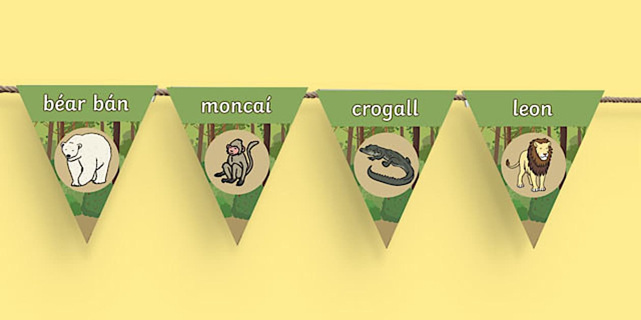 An Zú Gaeilge Display Bunting (Teacher-Made) - Twinkl