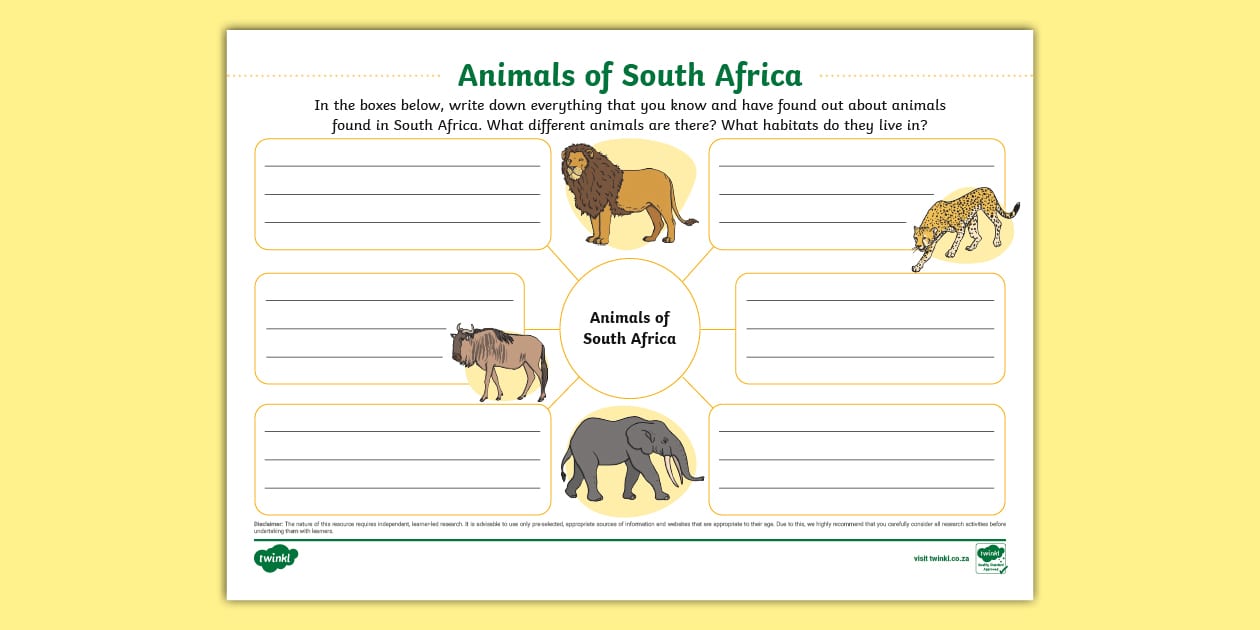 Animals of South Africa Mind Map (teacher made) - Twinkl