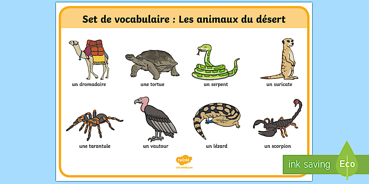 👉 Desert Animals French Word Mat - Twinkl
