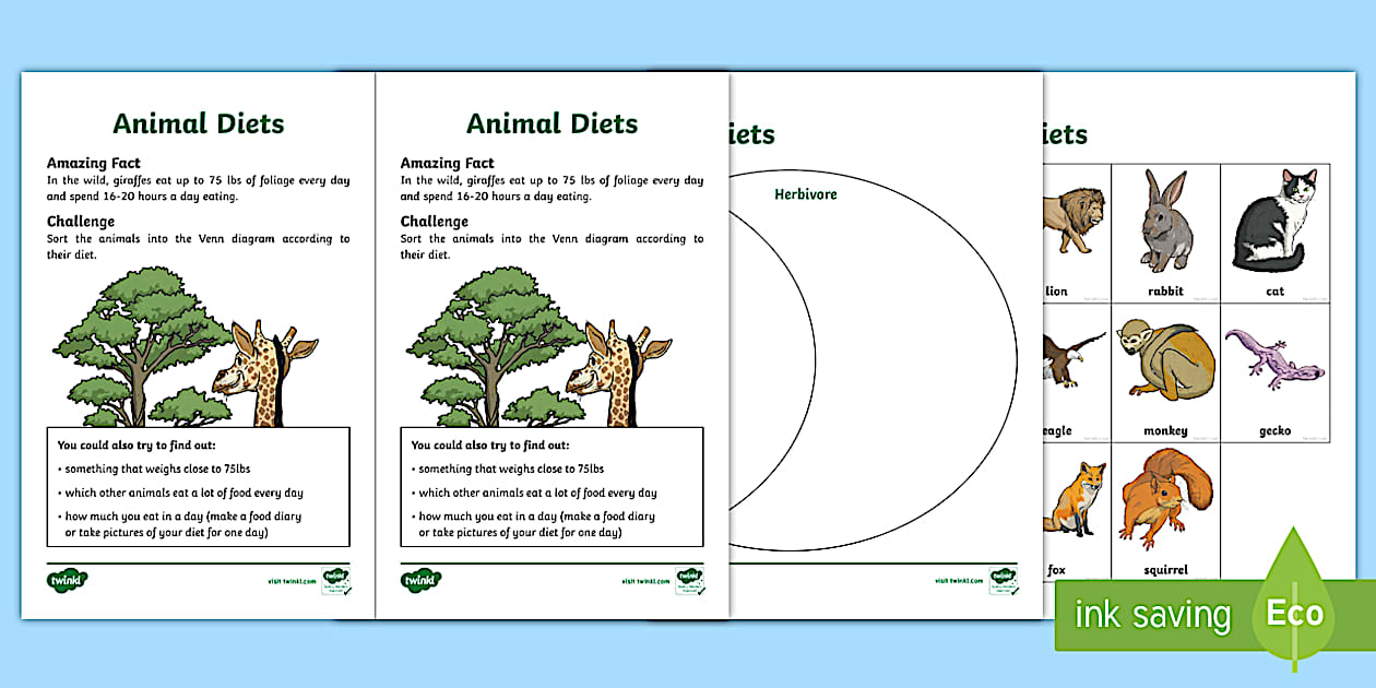 Animal Diets Cut and Paste Activity (Teacher-Made) - Twinkl