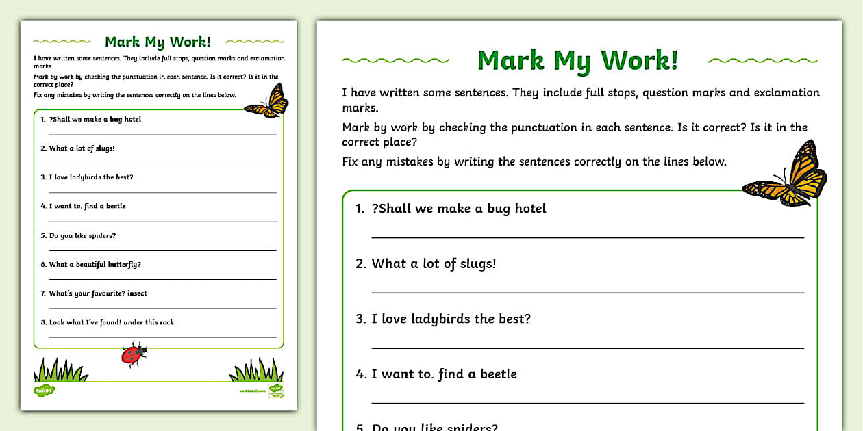 Minibeasts Mark My Work! Demarcating Sentences - Twinkl