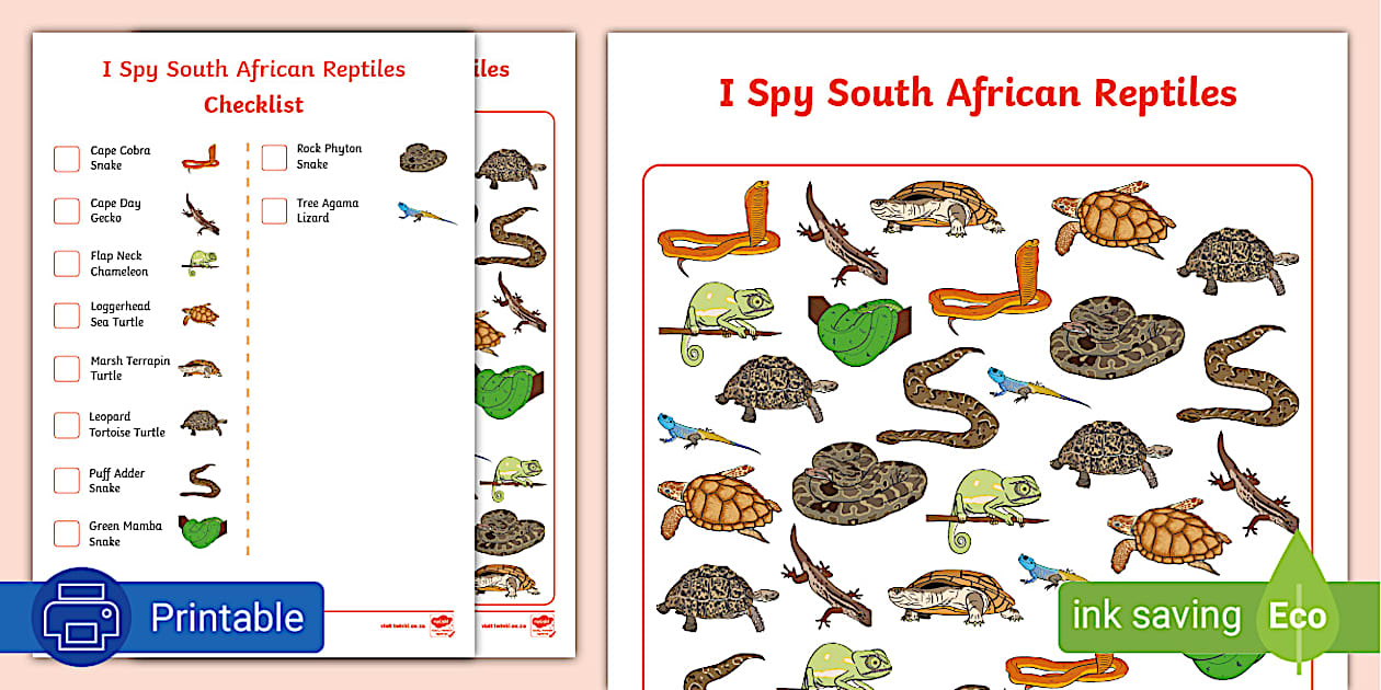Grade R- Reptiles - Worksheet: I Spy South African Reptiles