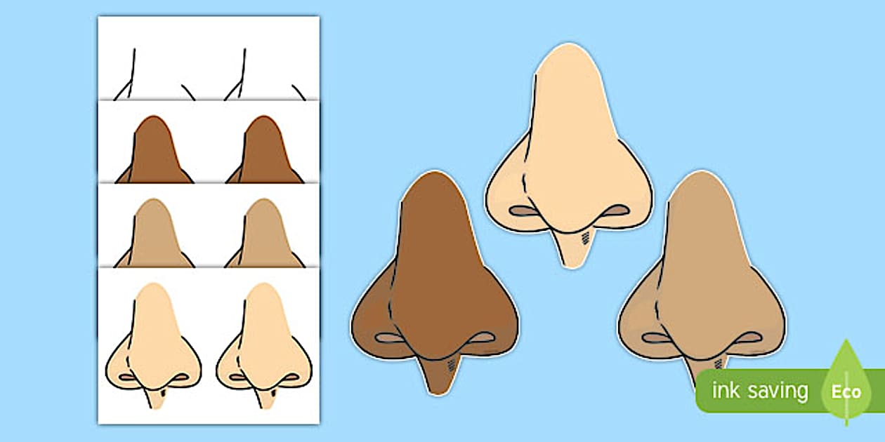 Nose Display Cut Outs (teacher made) - Twinkl
