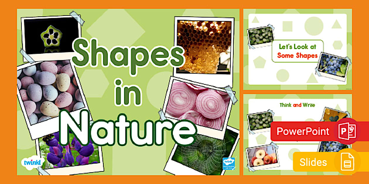 Shapes in Nature PowerPoint & Google Slides - Twinkl