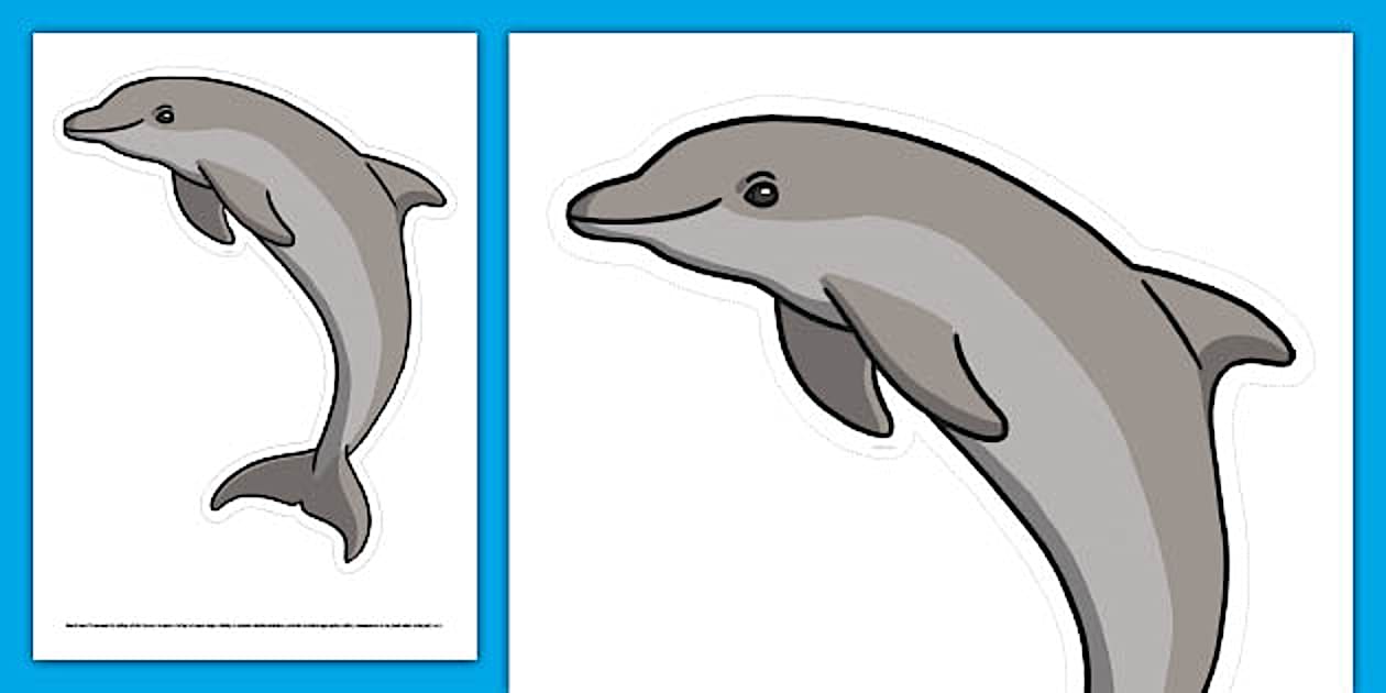 Large Dolphin Display Cut-Out (teacher made) - Twinkl