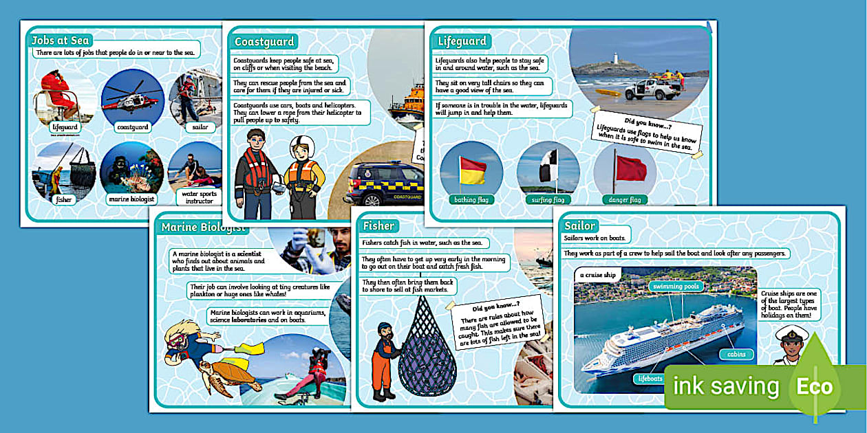 EYFS All About Jobs at Sea Fact Files | Twinkl - Twinkl