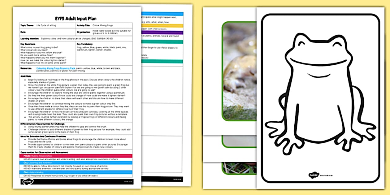 Black and White Colouring Mixing Frogs EYFS Adult Input Plan and ...