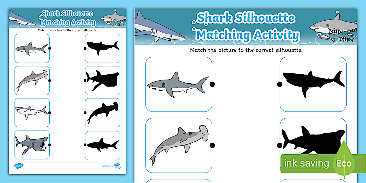 Shark Silhouette Matching Activity (teacher made) - Twinkl