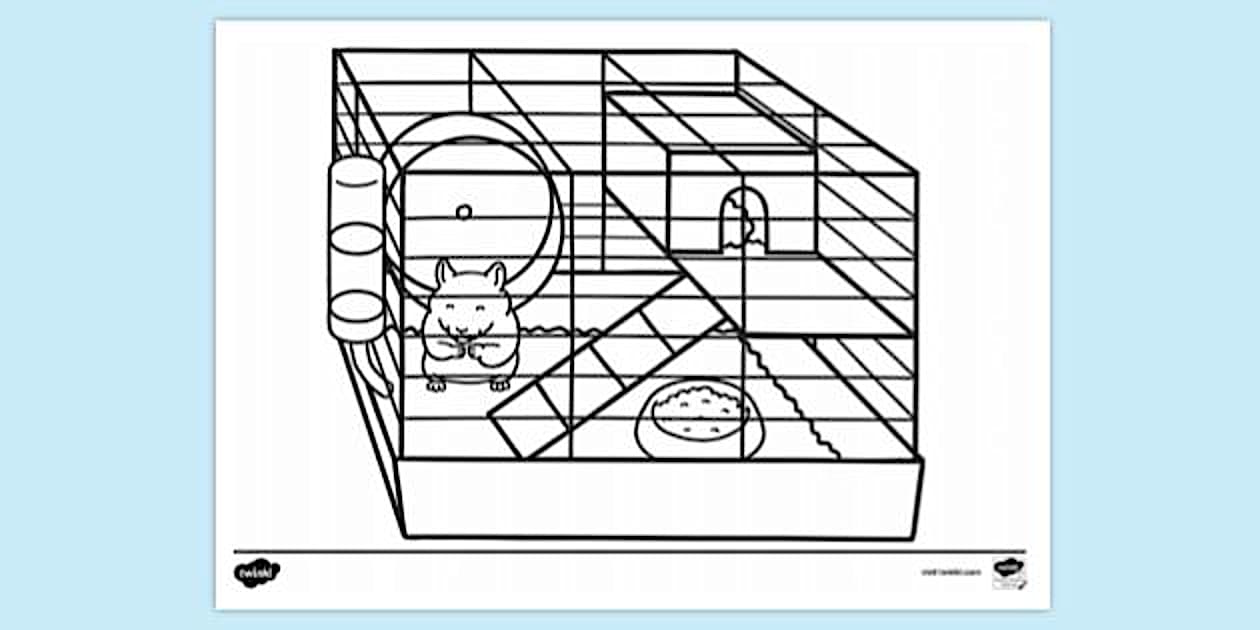 Hamster in a Cage Colouring Sheet | Colouring Sheets