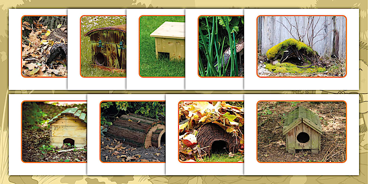 DIY Hedgehog House | Photo Pack | Hedgehog Awareness Week