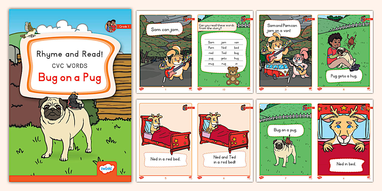 Rhyme and Read Mini Book: Bug on a Pug (teacher made)