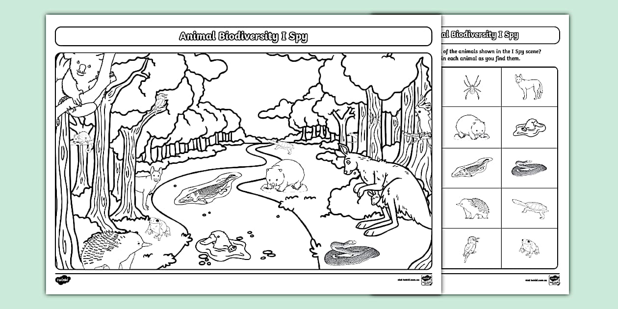 Animal Biodiversity I Spy (teacher made) - Twinkl