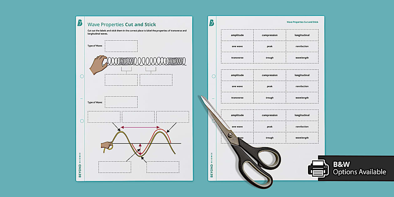 Labelled Wave Diagram Worksheet | Science | Beyond Secondary