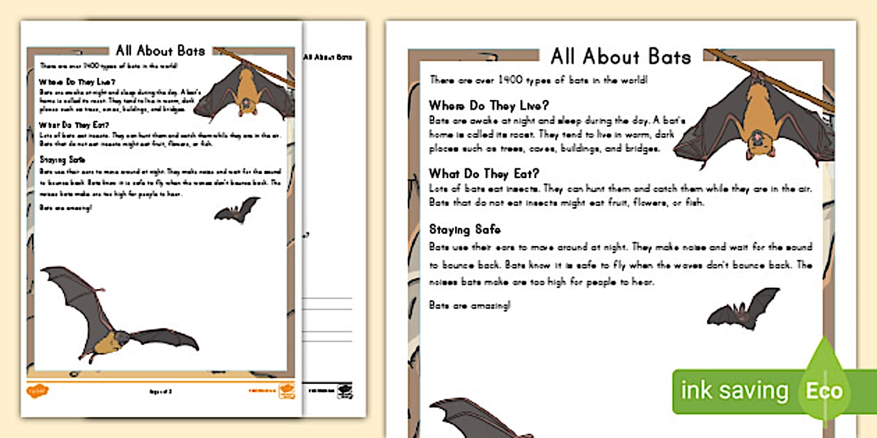 Reading Comprehension | Grade 2 | Non-fiction Reading