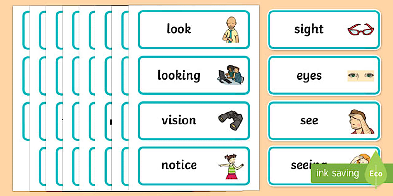 Sight Word Cards | Twinkl Science (teacher made) - Twinkl