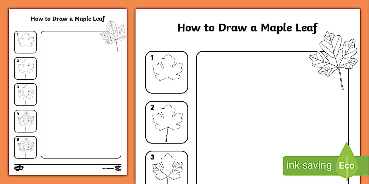 How to Draw a Canadian Maple Leaf (teacher made) - Twinkl