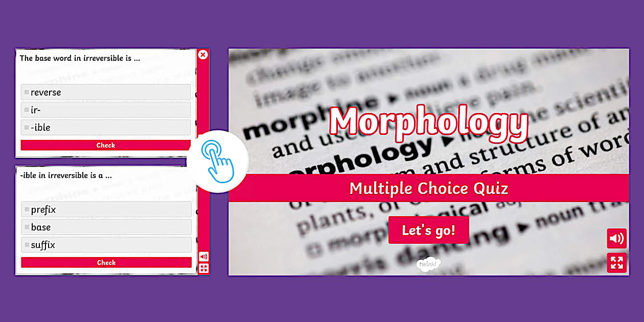 Sixth Grade Morphology Interactive Quiz (Teacher-Made)