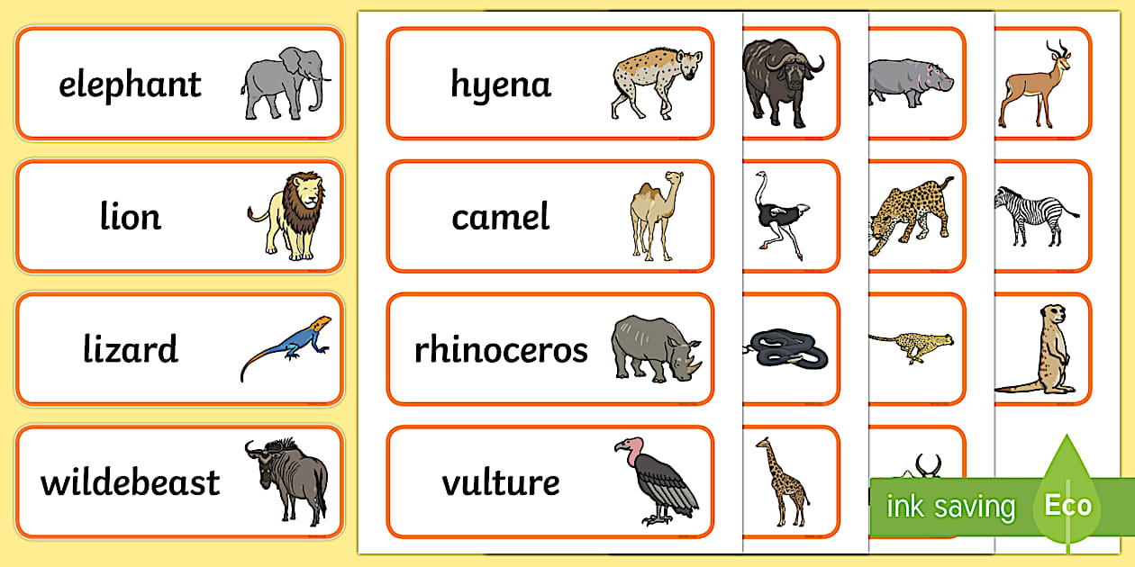 Animal Safari Flashcards (teacher made) - Twinkl