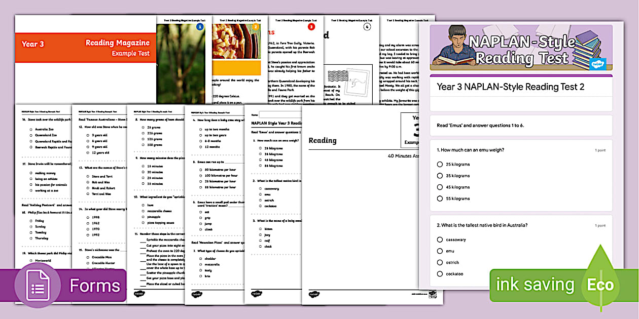 NAPLAN Style English Reading Year 3 Example Test Set 2 Exam Questions Pack