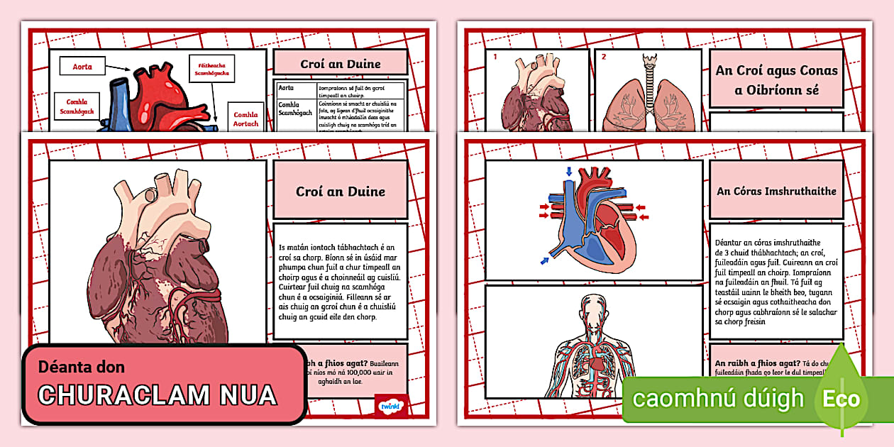 An Croí Postaeir Taispeána (Teacher-Made) - Twinkl