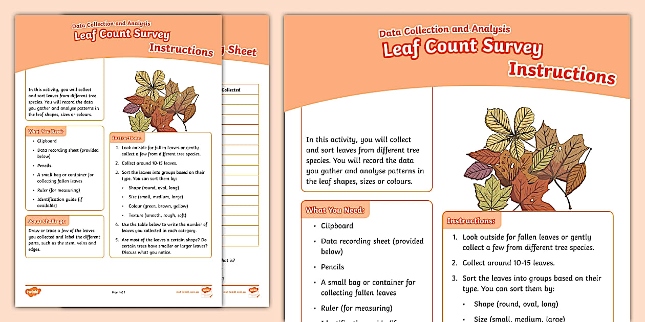 Outdoor Maths: Leaf Count Survey (Teacher-Made) - Twinkl