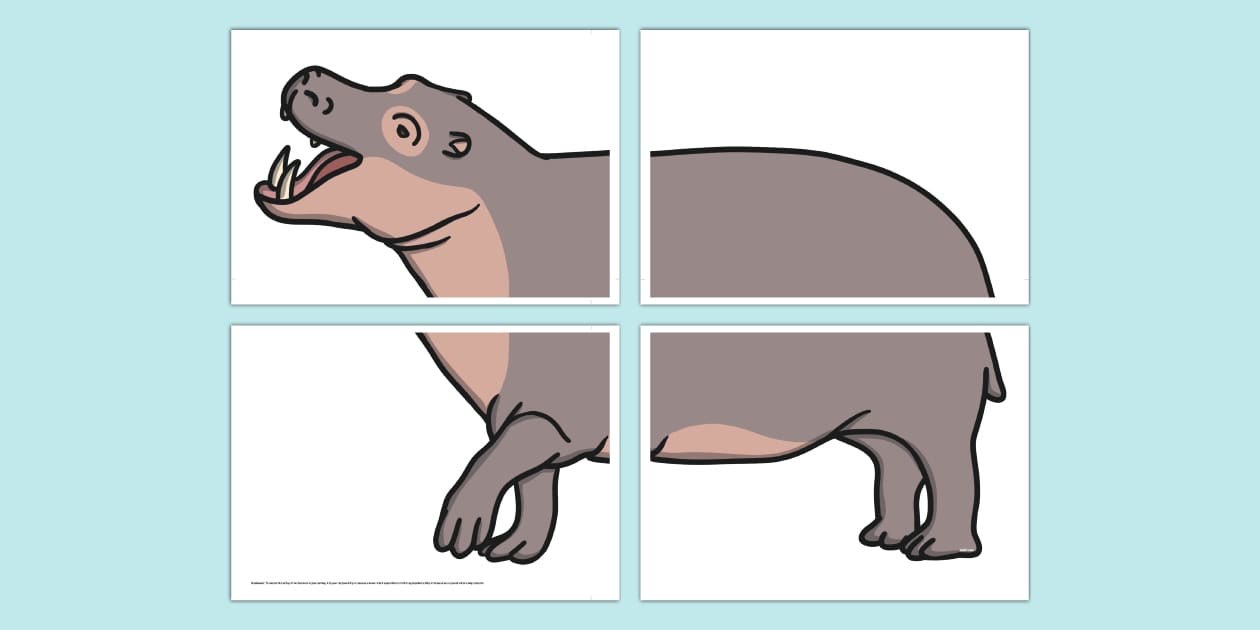 Large Hippopotamus Calf Cut-Out - Twinkl Display - Twinkl