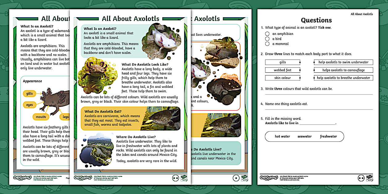 Year 2 All About Axolotls Non-Fiction Reading Comprehension
