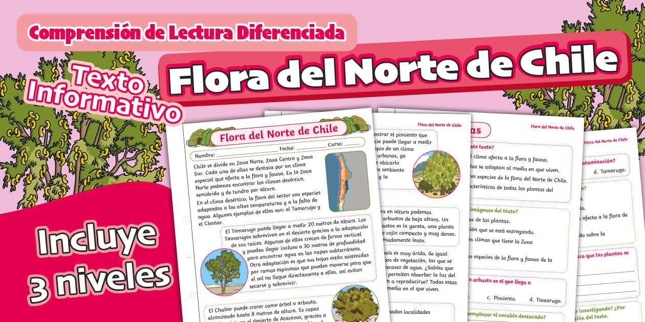 Comprensión de Lectura | Texto Informativo | 3° y 4° Básico
