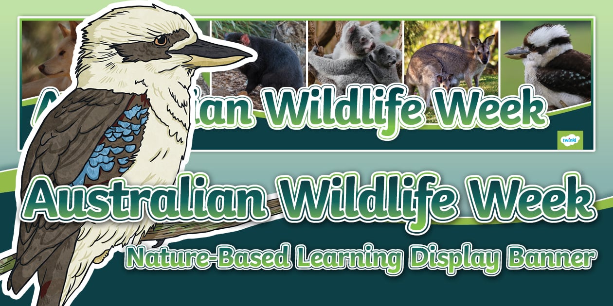 Australian Wildlife Week Photo Display Banner
