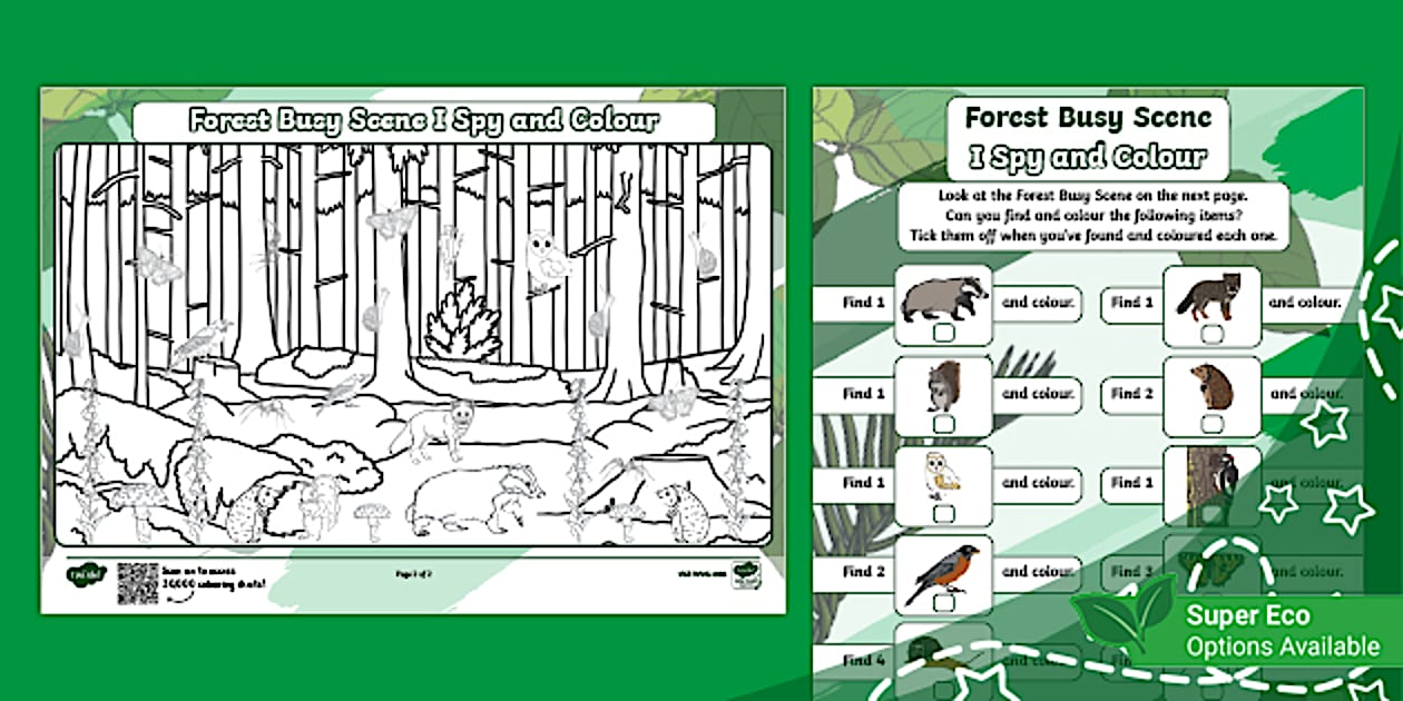 Forest I Spy Colouring Activity | Parents Resource - Twinkl