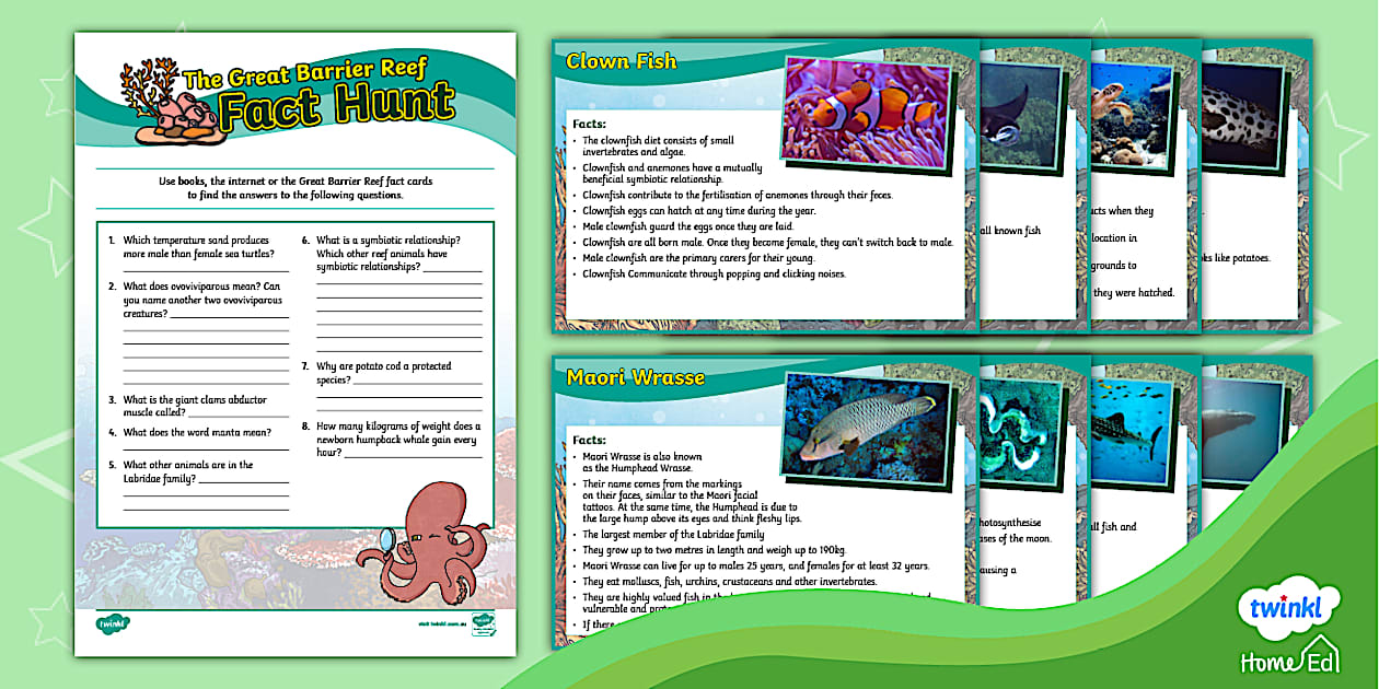 Great Barrier Reef Fish Fact Cards and Fact Hunt - Twinkl