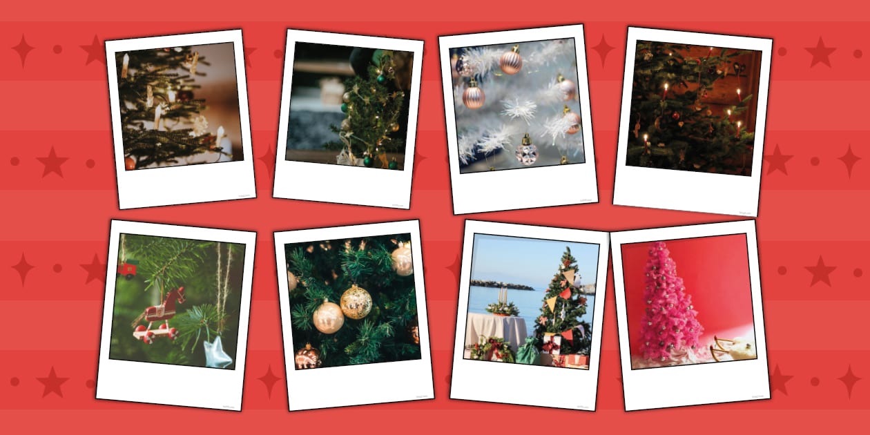 Christmas Trees Instant Photo Style Display Images - Twinkl
