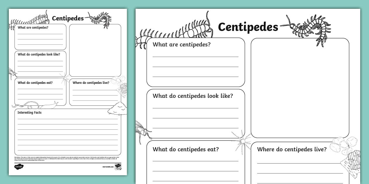 Centipedes - Fact File Template (Teacher-Made) - Twinkl