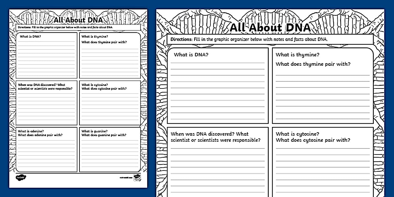 All About DNA Graphic Organizer for 6th-8th Grade - Twinkl