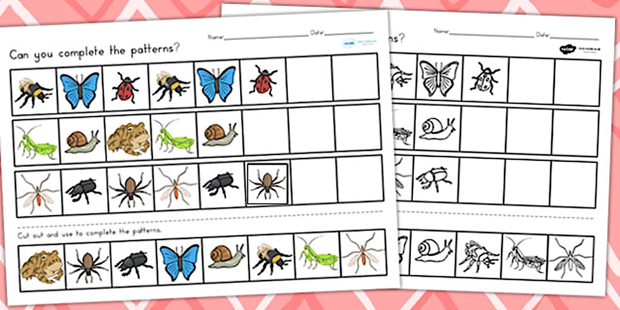 Minibeasts Complete the Pattern Worksheets - Twinkl