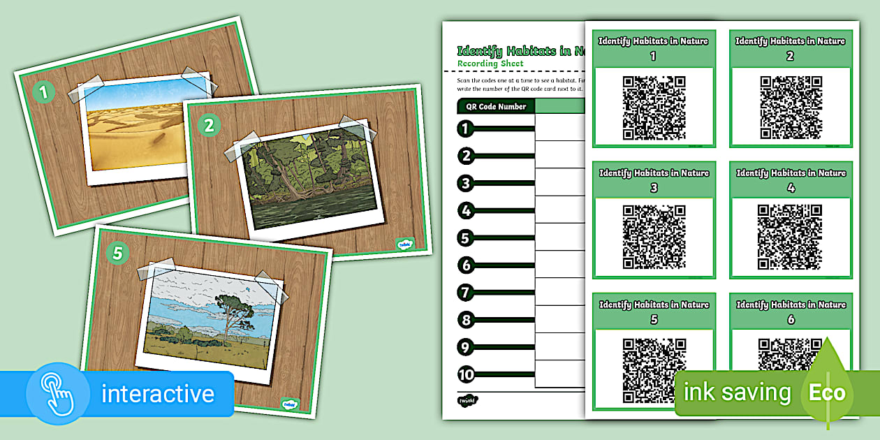 Identify Habitats in Nature QR Code Hunt - Twinkl