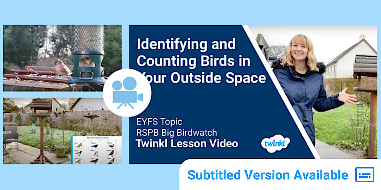 EYFS (Ages 3-5) Topic: Big Birdwatch - Identifying and Counting Birds