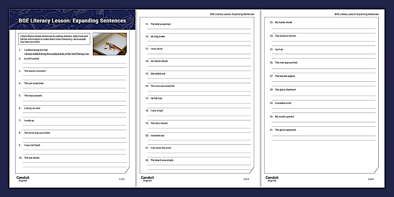 Literacy Lesson: Expanding Sentences (teacher made) - Twinkl