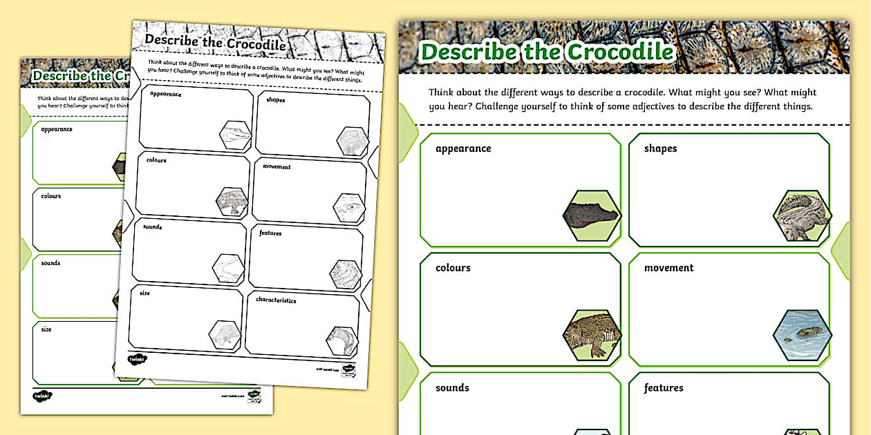 Crocodile Adjectives Worksheet (teacher made) - Twinkl