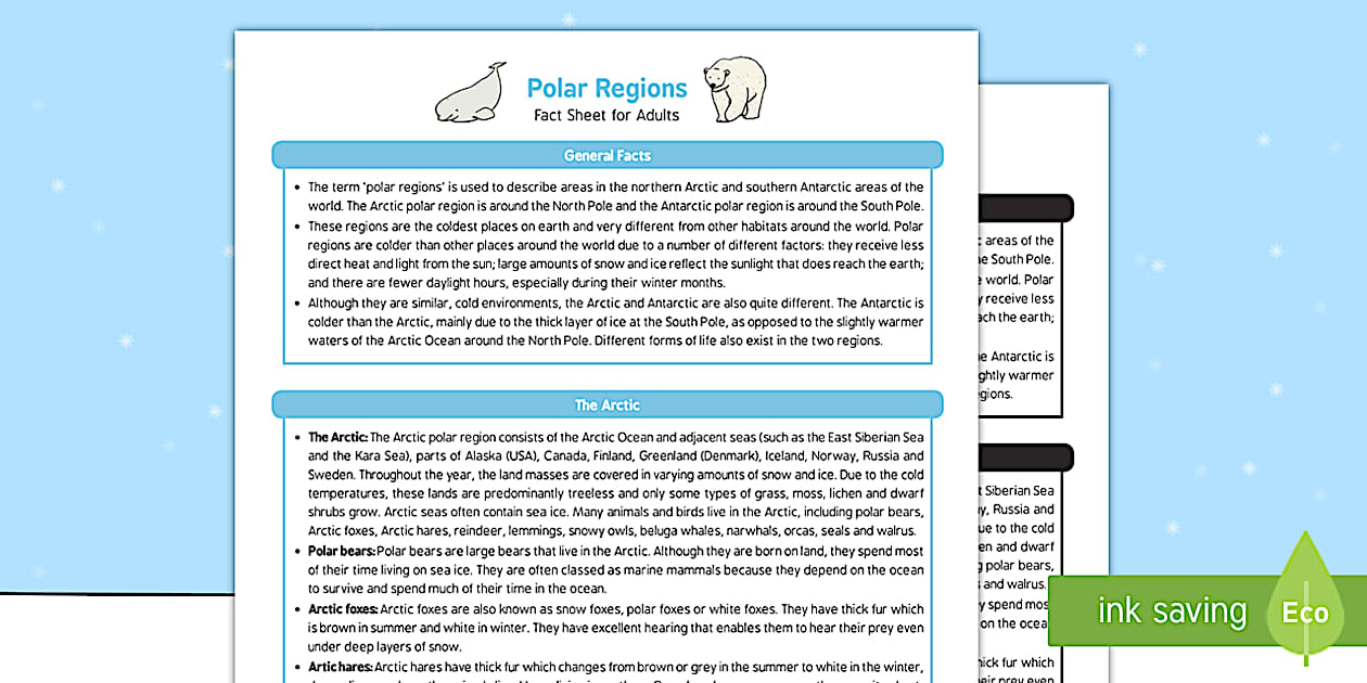 Polar Regions Fact Sheet for Adults (teacher made) - Twinkl