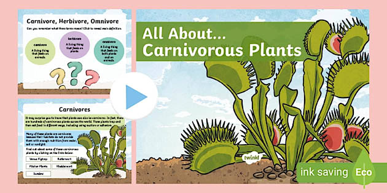 All About Carnivorous Plants PowerPoint - Science and STEM